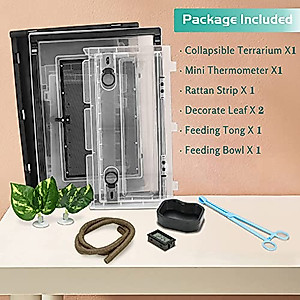 NEPTONION Reptile Terrarium 15.5"x12"x9" Reptile Breeding Enclosure Kits, Comes with Thermometer, Tong, Bowl and Some Decors, Suitable for Gecko,Chameleon, Lizard, Iguana,Snake, Bearded DragonTONION
