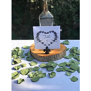 300+ Pcs Dried Real Eucalyptus Leaves, Rustic Boho Wedding Table Decor, 100% Natural Preserved Silver Dollar Eucalyptus Decor Green Leaves, Biodegradable Confetti for Weeding, DIY, Baby Shower, Cake1