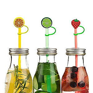 10 Piece Straw Tip Covers Cap Fruit Straw Tip Cap Reusable Drinking Straw Toppers for 6-8mm Straw Silicone Straw Plugs Fruit Shape Straw Protector