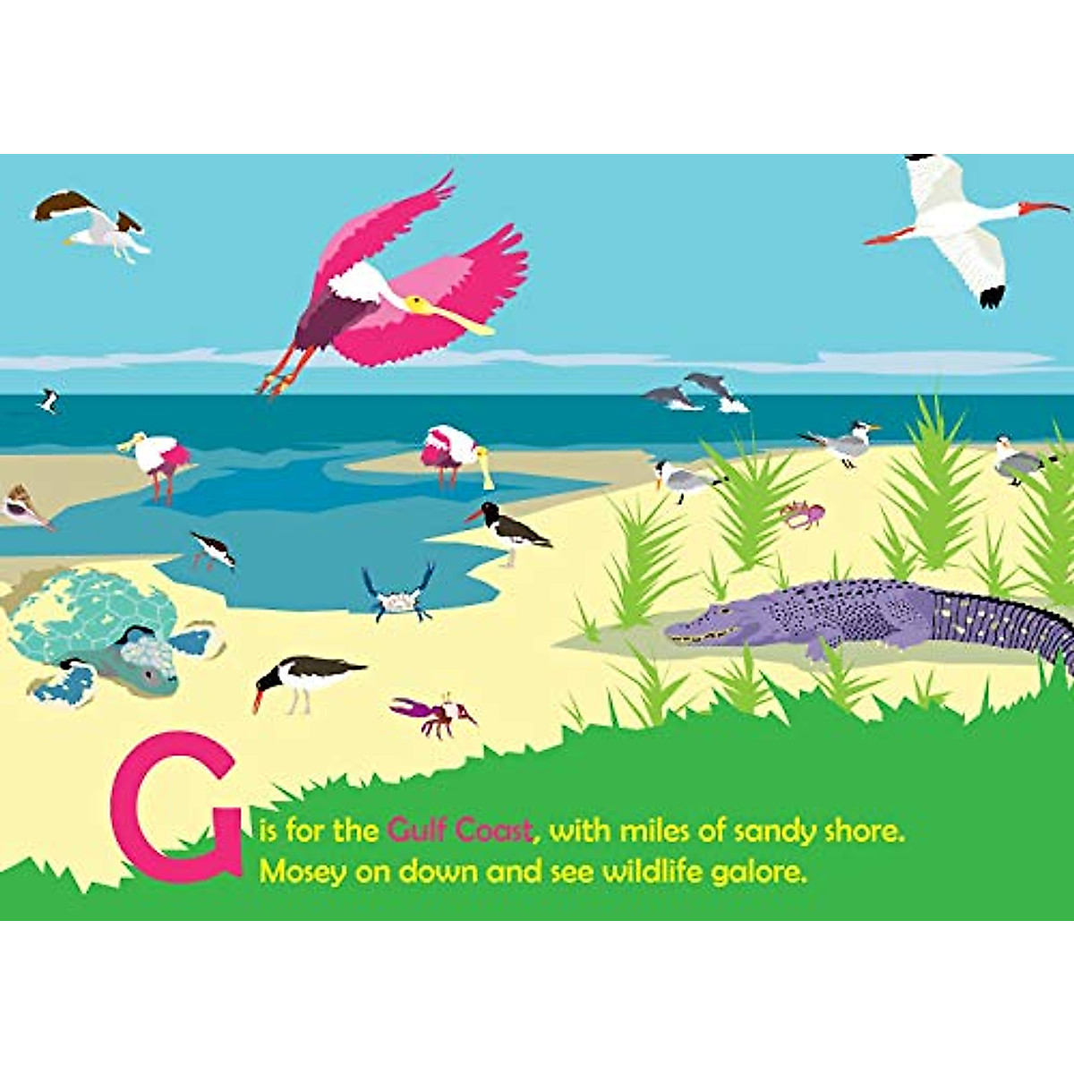 T is for Texas (Alphabet Places)