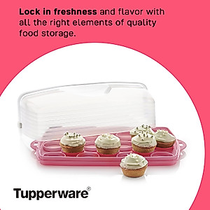 Tupperware - Rectangular Cake and Cupcake Carrier - Holds 18 Cupcakes