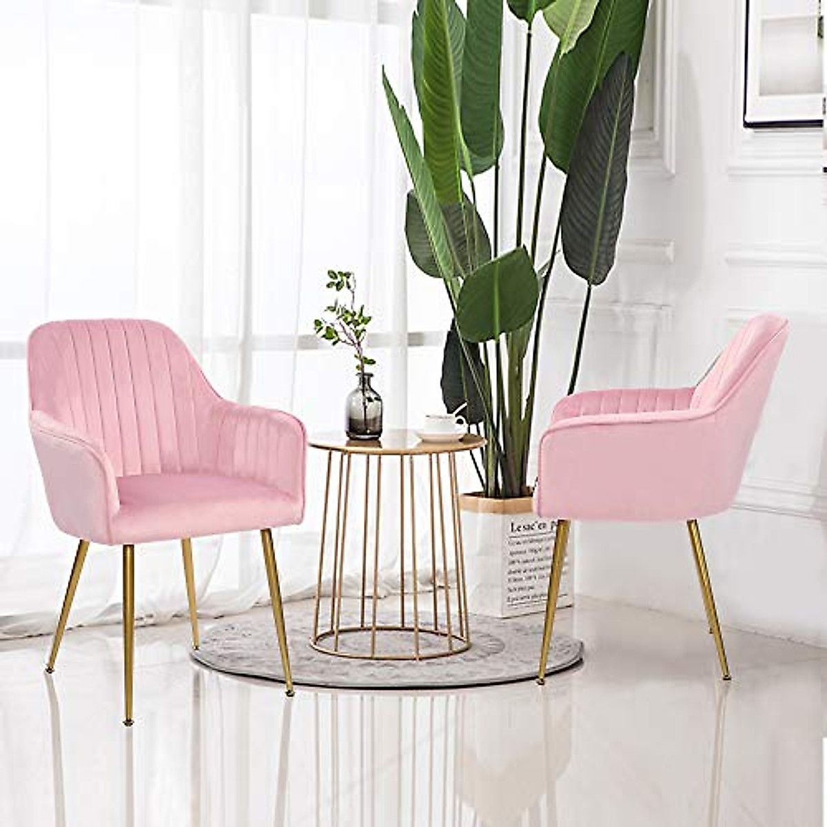 thksbought Set of 2 Velvet Dinning Chairs, Upholstered Accent Chairs with Gold Plating Legs for Living Room Chairs(Pink)