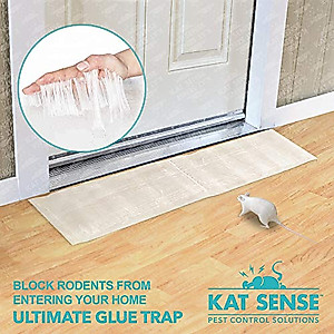 Kat Sense Sticky Rat Traps 'N Mouse Glue Traps That Work for Trapping Snakes Spiders Roaches N Other Rodents, 2 XL Large Heavy Duty Clear Pre Baited Mats, Indoor Outdoor Non Multi Catch Pest Trap
