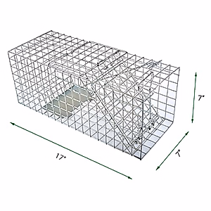 Anyhall Live Animal Cage Trap for Squirrels