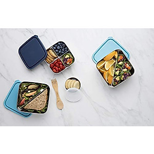 U-Konserve - Divided To-Go, Stainless Steel with Removable Dividers, Multiple Containers in One, Ideal for Lunches, Picnics and Travel, Dishwasher Safe (Medium, Ocean)