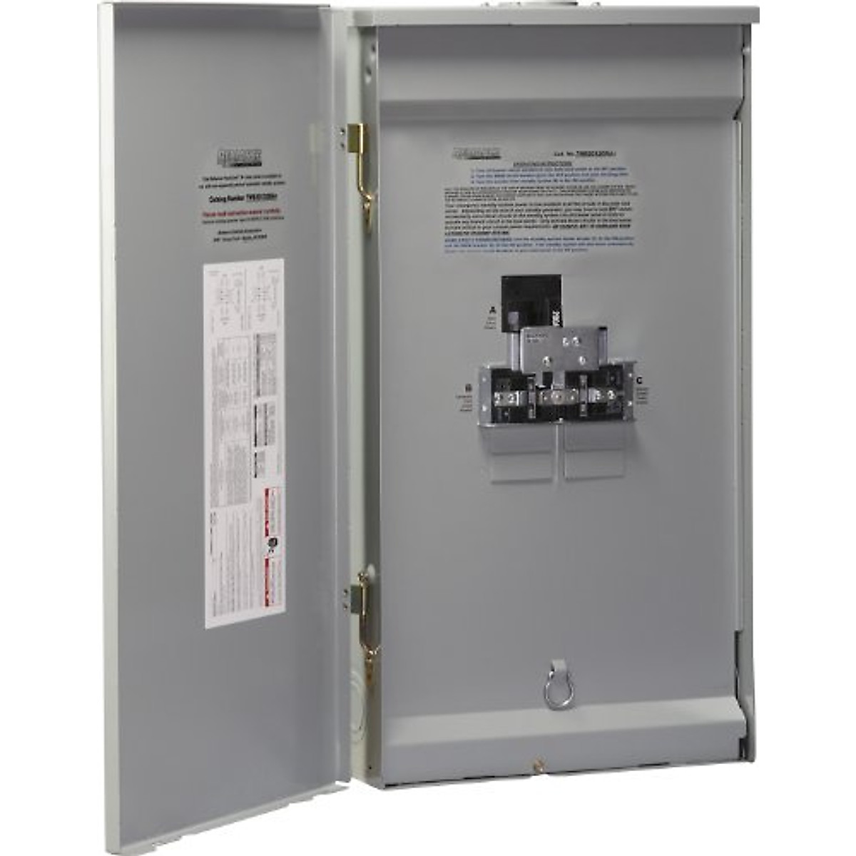Reliance Controls TWB2006DR Panel/Link Transfer Panel (60A/200A)