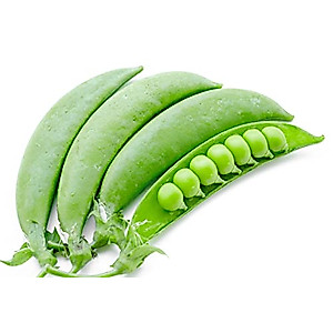 Sugar Snap Pea Seeds for Planting - Pisum Sativum - Heirloom Non-GMO Vegetable Seeds for Planting a Home Garden by RDR Seeds