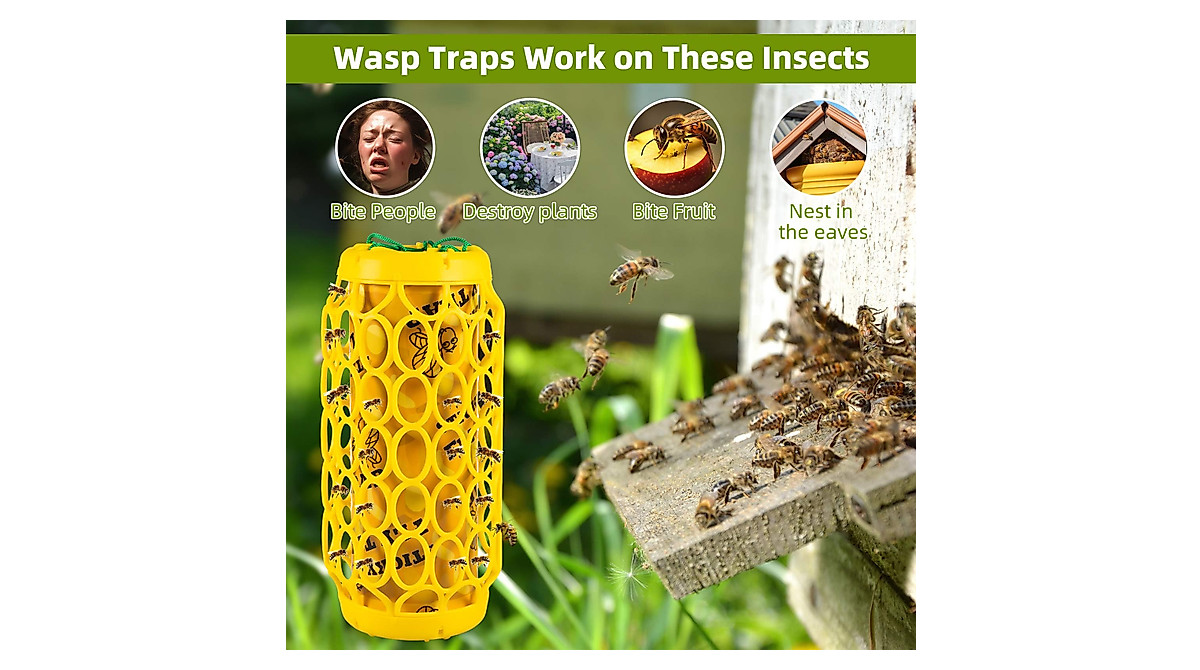 Effective Sticky Fly Traps for Wasp and Bee Control
