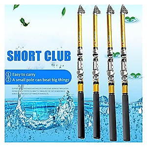 XINNUO Portable Sea Fishing Rod Pole Carbon Fiber Rock Fishing Pole 1.5/1.8/2.1/2.4/2.7/3m Telescopic Travel Fishing Rod Mini Fish Tackle Accessories Tools (Size : 3.0m)