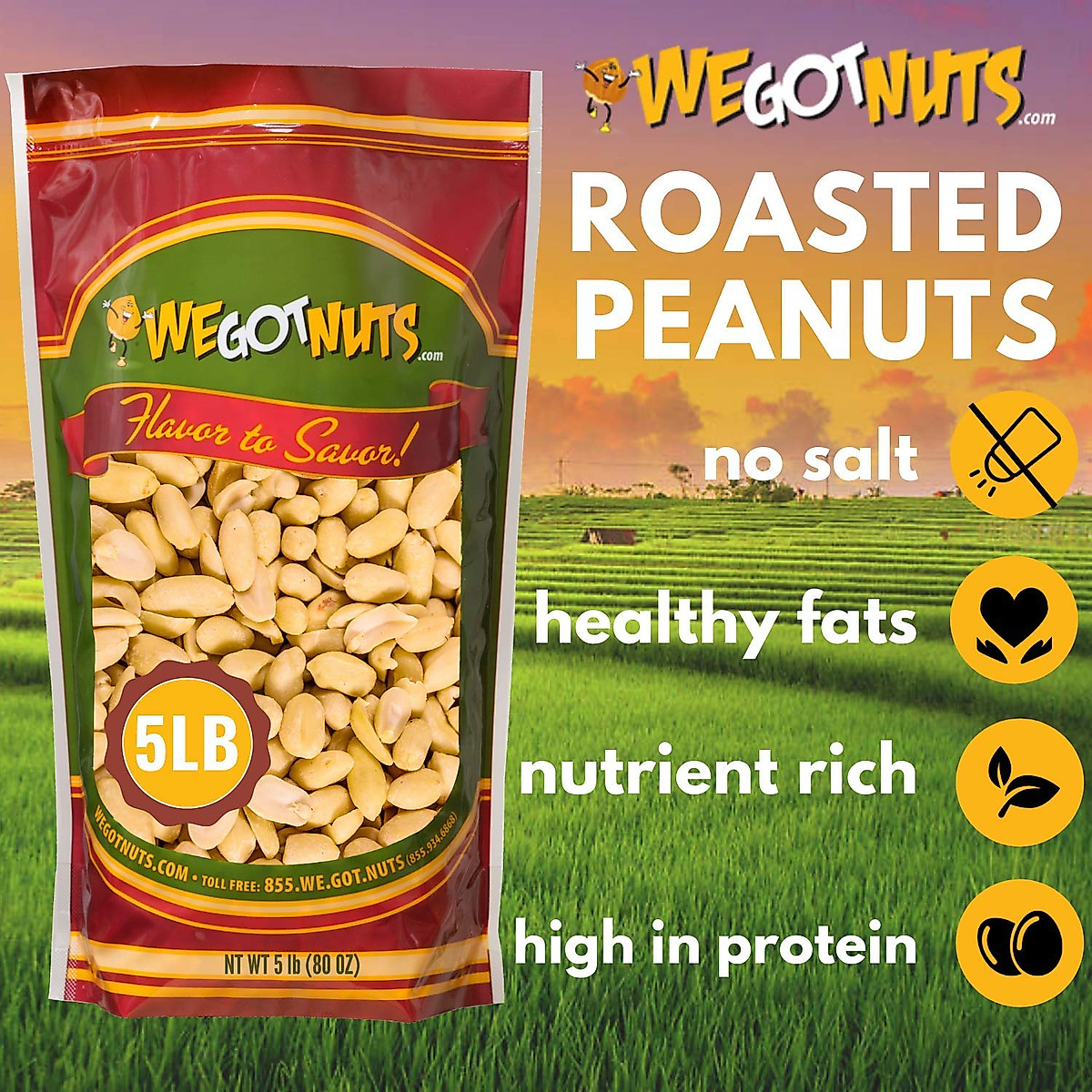 Peanuts Dry Roasted Unsalted, Blanched, 5 Pound Bulk Bag - We Got Nuts,