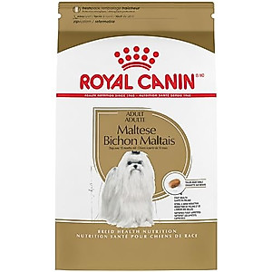 Royal Canin Maltese Adult Dry Dog Food, 10 lb bag