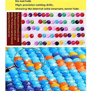 DOTZSO Door Diamond Painting Kits for Adults Diamond Art DIY Art Painting Wall Decoration for Gifts,DIY Painting for Adults' Paint-by-Number Kits Mosaic Making (12x16 Inches Beach Outside The)