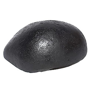 Matsya Shaligram - Gandaki River Nepal, Fossil, Fossil
