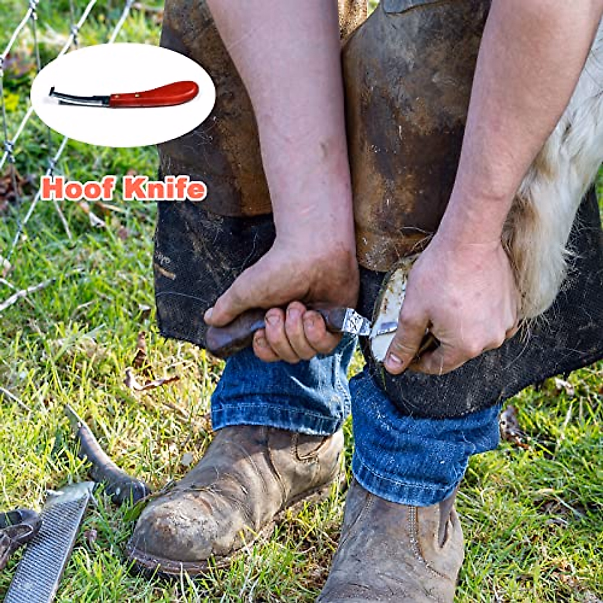 UJD Farrier Tools Professional Farrier Tool Kits Hoof Rasp Hoof Nippers Hoof Knife Horses Hoof Trimmers Tools Suitable for Hoof Trimming for Horses/Donkeys Rasp Hoof Cutter Set