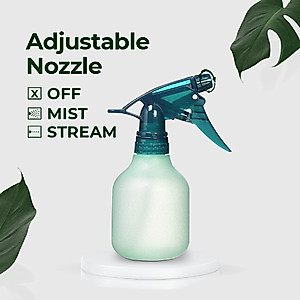 Rayson Empty Spray Bottle Refillable Container, Fine Mist Sprayer Trigger Squirt Bottle for Taming Hair, Hair styling, Watering Plants, Showering Pets (1 Pack, Green)