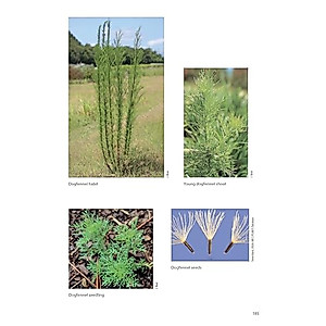 Weeds of the Northeast