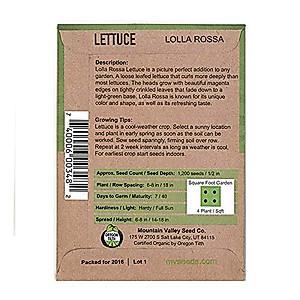 Leaf Lettuce Garden Seeds - Lollo Rosso - 2 Gram Packet, Non-GMO Vegetable Leafy Green Gardening Seeds
