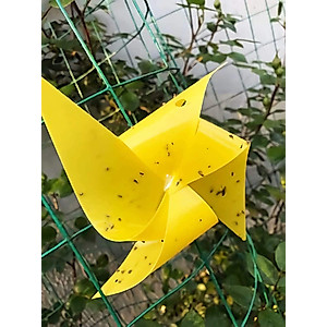 Faicuk Yellow Dual-Sided Sticky Fly Traps for Plant Insect Like Aphids, Fungus Gnats, Leaf Miners and White Flies (10 Pack)