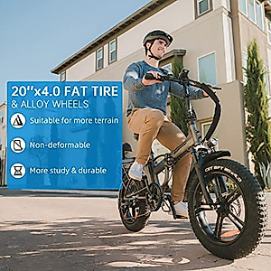 Rattan 750W Electric Bike for Adults 48V 13AH Removable Battery Foldable Electric Bikes LM/LF Pro Ebike 20" x 4.0 Fat Tire Electric Bicycles 2 Seater