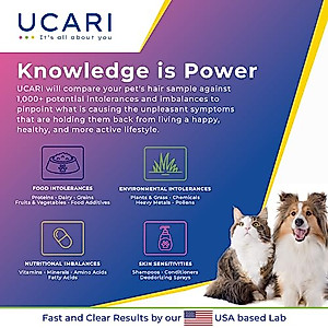UCARI Pet Sensitivity & Intolerance Test Kit for Dogs & Cats | 1000+ Environmental & Pet Food Intolerance Screening | | 4 Tests in 1 | Non-Invasive Bioresonance Home Health Testing Kits, Fast Results