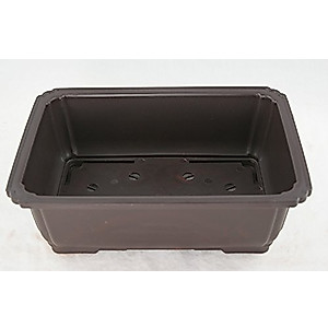 Rectangular Plastic Bonsai/Succulent Pot 10.5"x 7.75"x 3.5" - Dark Brown