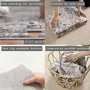 CHAMPLANT Washable Area Rug 5x7 for Living Room Retro Boho Chic Medallion Distressed Design Indoor Non-Slip Large Persian Oriental Accent Throw Rug for Kitchen Bedroom Office Carpet