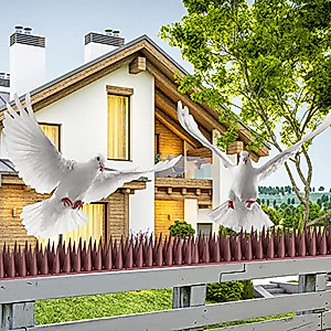 Bird Spikes, Plastic Bird Deterrent Spikes for Pigeons and Other Small Birds, Anti Bird Spikes for Outside to Keep Birds Away,Use for Outdoor Roof and Railing (20 Pack) (Brown)