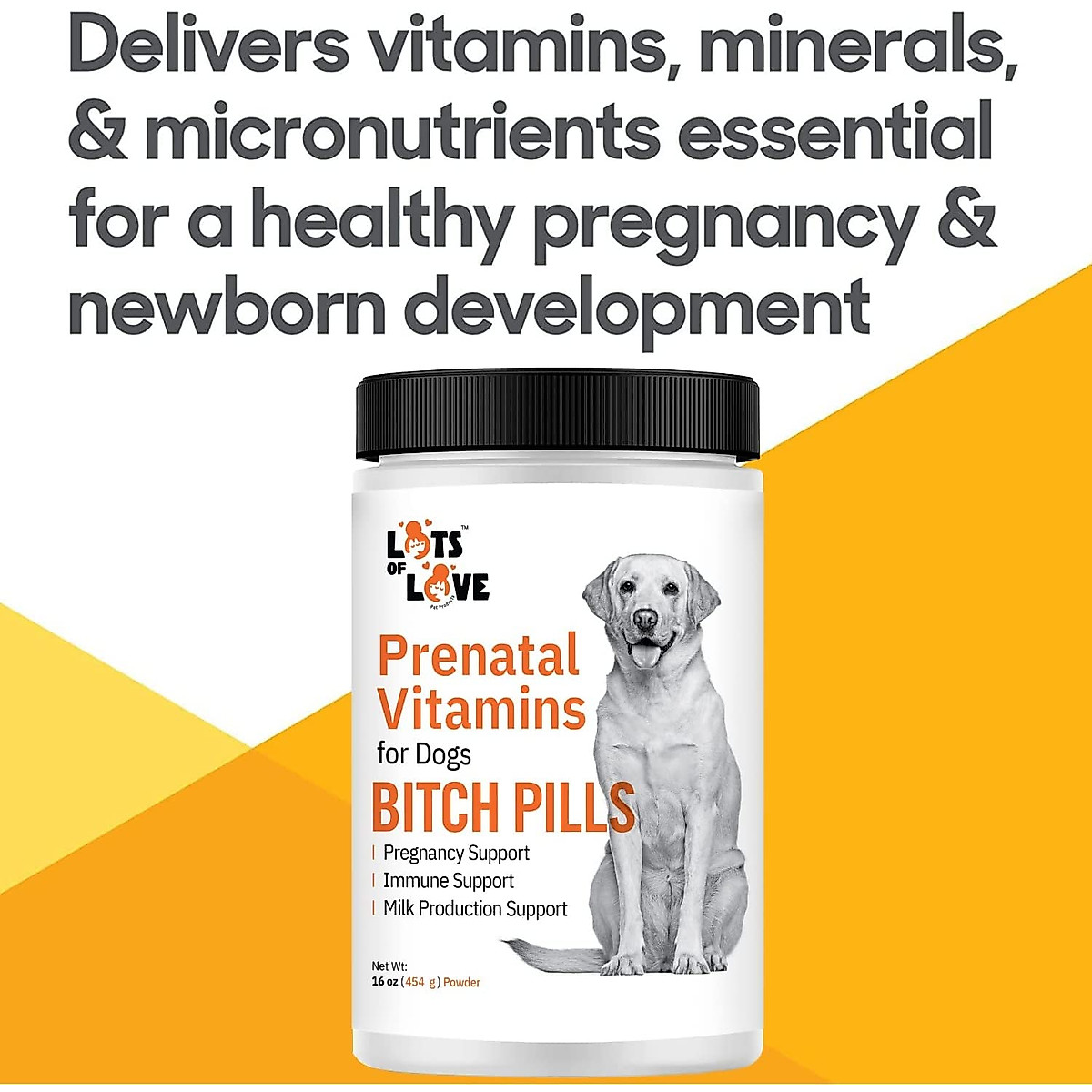 Bitch Pills (Powder Form) - Prenatal Vitamins for Dogs (Earlier Thomas Pet) - Folic Acid, B12, Calcium - Pregnant Dog Supplies (Liver, 1 Pound)