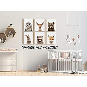 EPHANY Baby Animal Posters and Prints ART - Rabbite Deer Fox Canvas Painting Nursery Pig Wall Art, Piglet Print Wall Art Nordic Picture Kids Room Decoration YMX014 (8"x10"(20x25cm))