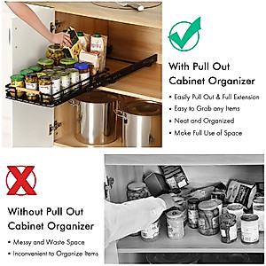 KES Food Container Lid Organizer and Food Container Organizer, 2 Tier Pull Out Cabinet Organizer, Silding Plastic Container Organizer Lid Storage Chrome, KPO506W36D53-CH
