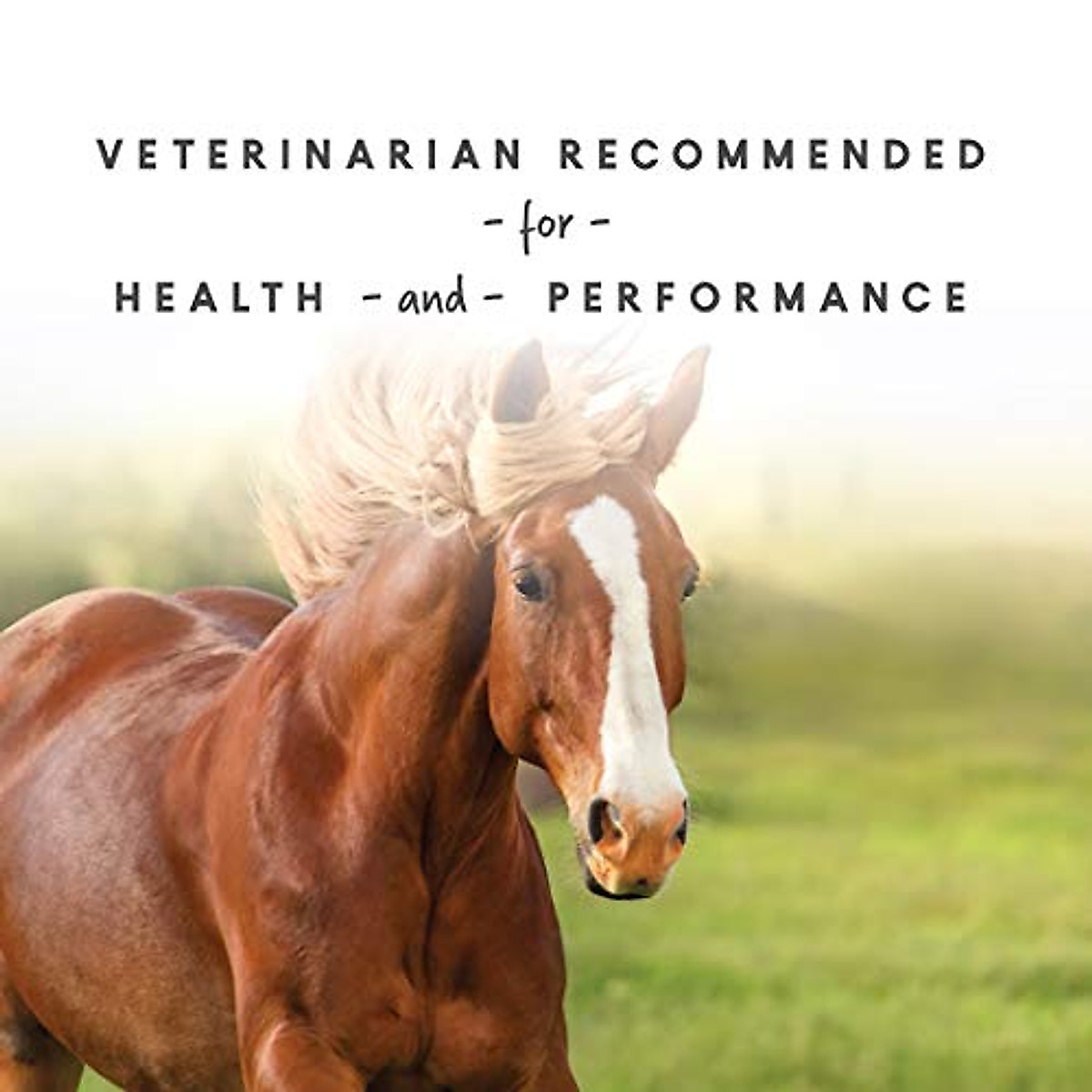 Manna Pro Sho-Glo Supplement for Horses | Complete Vitamin & Mineral Supplement for Healthy Skin & Coat | 25 Pounds