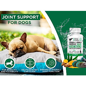 New Zealand - Green Lipped Mussel for Dogs - 1325mg 90 Caps - Hip & Joint Supplement for Dogs & Arthritis Relief for Dogs - GMO & Gluten Free
