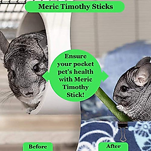 Meric 20 Pcs Timothy Hay Sticks, Bunny Treat for Rabbits, Hamster & Guinea Pig Treat Chew Sticks for Teeth, Chew Treat Supports Digestive and Oral Care of Rat, Chinchilla, Gerbil, Bunny, 4.5"