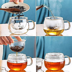 Hantran Tea Infuser Cups with Strainer and Lid, 13 ounce Heat Resistance Borosilicate Glass Teacups for Blooming Tea & Loose Leaf Tea, Microwave & Dishwasher Safe - For Tea Lovers
