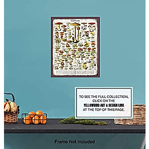 Dining Room, Kitchen Decor - Rustic Vintage Botanical Mushrooms Chart - Larousse Gastronomique Sign Photo Wall Art for Cafe, Restaurant - Unique Housewarming Gift -8x10 Boho Farmhouse Style