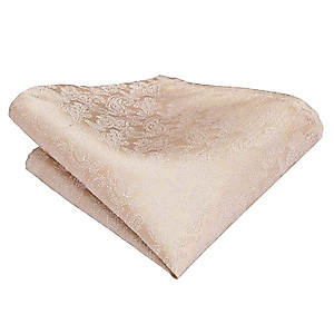 Hi-Tie Champagne Khaki Tie Paisley Silk Mens Neckties with Pocket Square Cufflinks for Wedding Business Party