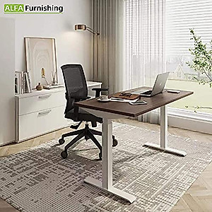 ALFA FURNISHING Quick Install Standing Desk, 48 X 30 Inches Dual Motor Electric Stand Up Desk, Adjustable Height Sit Stand Desk with Whole-Piece Desktop, 4 Pre-Set Memory(Walnut Top+White Frame)