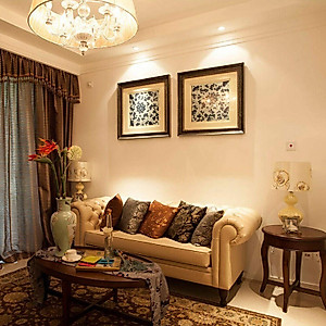 Lxcom Lighting LED MR11 Light Bulb 6 Pack 5W LED Flood Light 40W Halogen Replacement GU4 Bi-Pin Base Warm White 3000K MR11 Spotlight AC/DC12V for Landscape Recessed Track Lighting