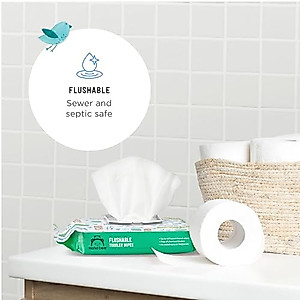 Amazon Brand - Mama Bear Fragrance Free Hypoallergenic Flushable Toddler Toilet Wipes, 336 Count (8 Packs of 42)