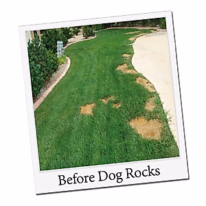 Dog Rocks - Prevent Grass Burn Spots by Urine - Save Your Lawn from Yellow Marks - 600g