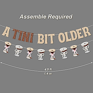 Espresso Martini Garland Glittery Birthday Banner A Tini Bit Older for Espresso Martini Birthday Party Decorations