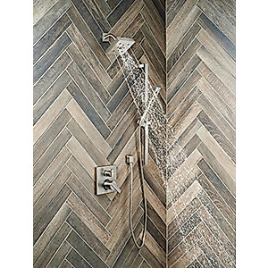 DELTA FAUCET T24867-SS, Stainless Ara Angular Modern Monitor 14 Series Valve Trim with 3-Setting Integrated Diverter