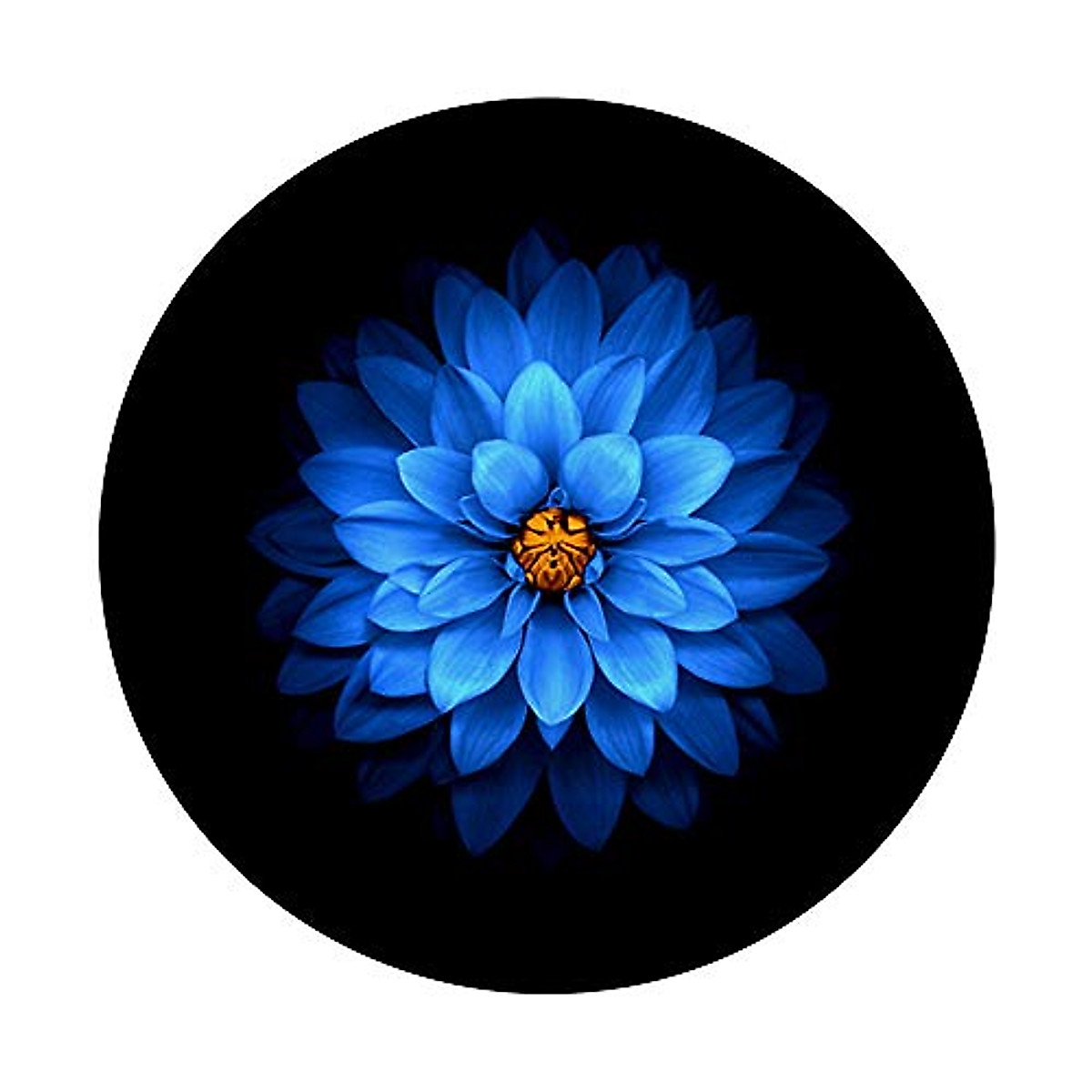 Purple Color Flower Astra Blue Pop Mount Socket Pattern Grip PopSockets PopGrip: Swappable Grip for Phones & Tablets