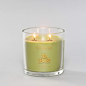 Chesapeake Bay Candle TA18439 jar Candle, Green