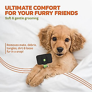 The Pet Portal Self Cleaning Dog Brush for Shedding Slicker Brush Cat Long Haired Pet Brush Grooming Deshedding Supplies - Medium to Large Pets