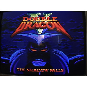 Double Dragon 5: The Shadow Falls - Sega Genesis