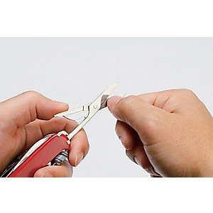 CANIV.SWISSCHAMP SILVER