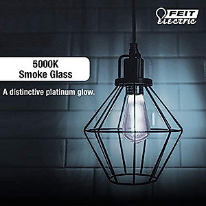 Feit Electric Vintage Exposed Filament Smoke Glass LED ST19 with a Medium E26 Base Light Bulb - 25W Equivalent - 10 Year Life - 200 Lumen - 5000K Dayllight - Dimmable | Original Vintage