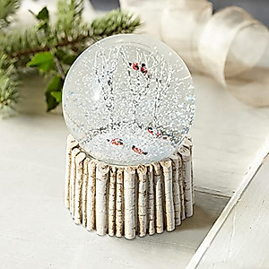 Cardinal Snow Globe, Red Bird Snowglobe Animal Snow Flake Glass Snow Globes for Adults Men Birthday, 100MM Valentines Day Snow Globe