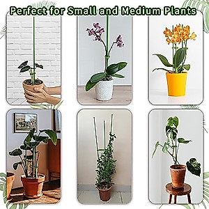 HYYZ Plant Stakes-2pcs 21inch Trellis for Climbing Plants Outdoor, Customizable Peony Cages and Supports, Adjustable Small Tomato Cage, Stackable and Assembleable Garden Trellis in Various Styles.